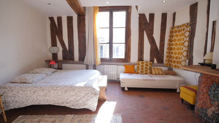 Appartement D’artiste Au Coeur Du Centre Ville - Auxerre