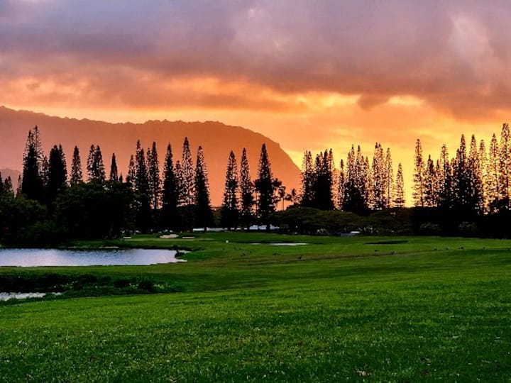 Peaceful & Cozy Getaway (Weekly Specials!) - Kauai, HI