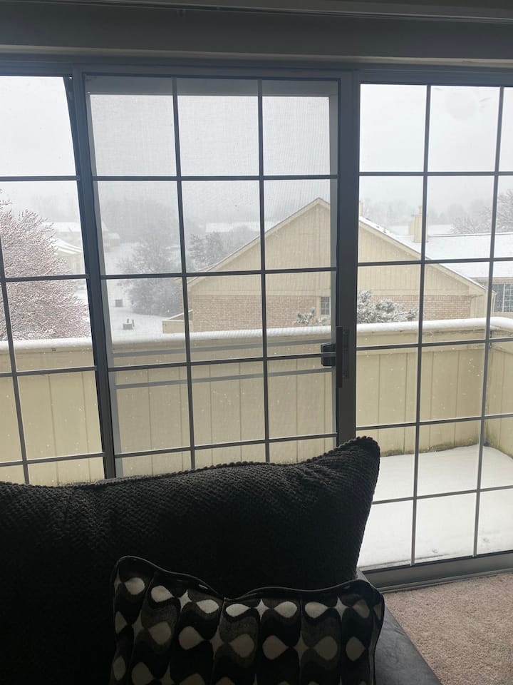 Luxurious 2 Bedroom Condo - Novi, MI