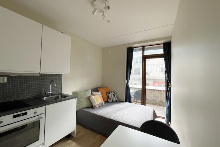 Amazing Top Floor Studio In Center, Privat Balcony - Oslo