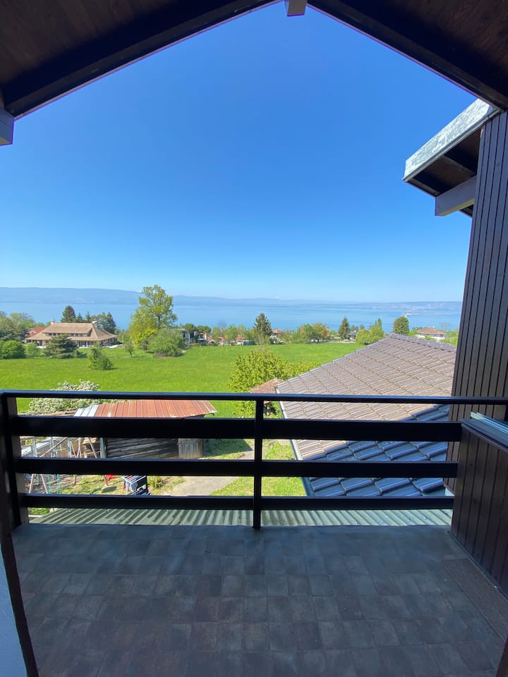 Superbe Appartement Vue Sur Le Lac - Évian-les-Bains
