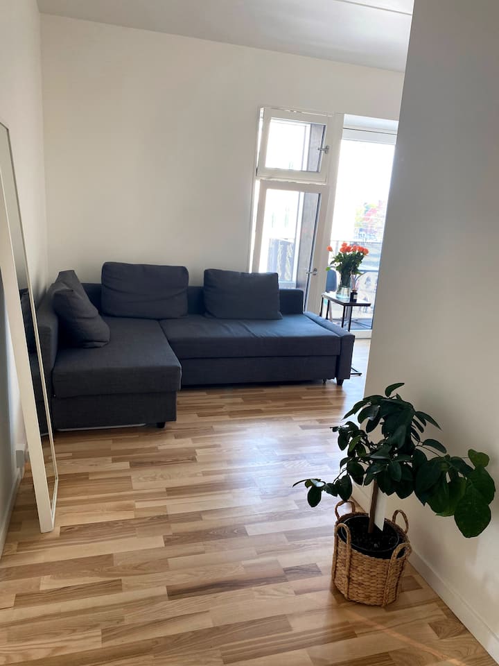 Great Apartment Near The Center. - Copenhagen