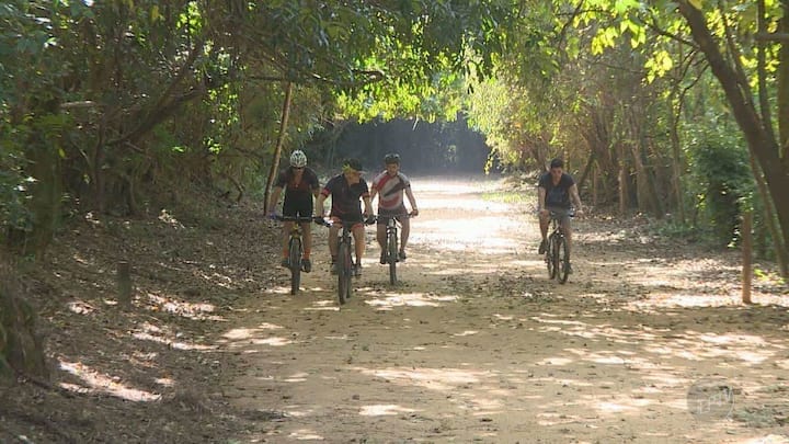 Em Harmonia Com A Natureza. Chalé Agradável. - Campinas