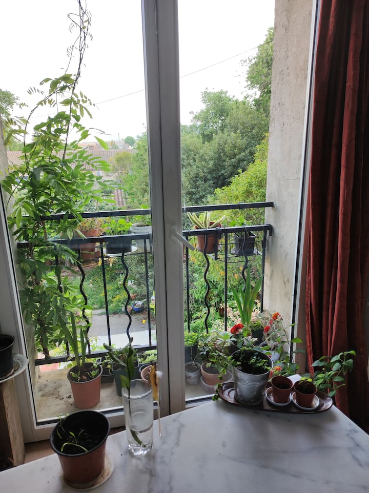 Chambre Chez L'habitant - Tournon-sur-Rhône