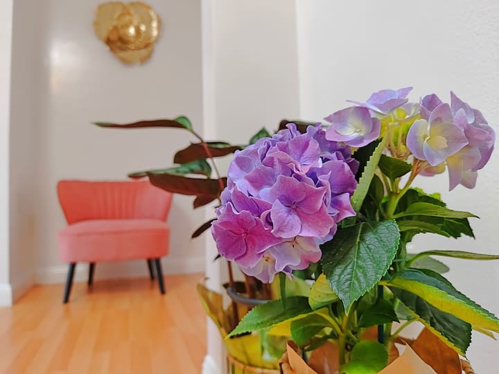 9 - Peaceful & Spacious 4b2b Upper Unit Near Fw - Glen Park - San Francisco