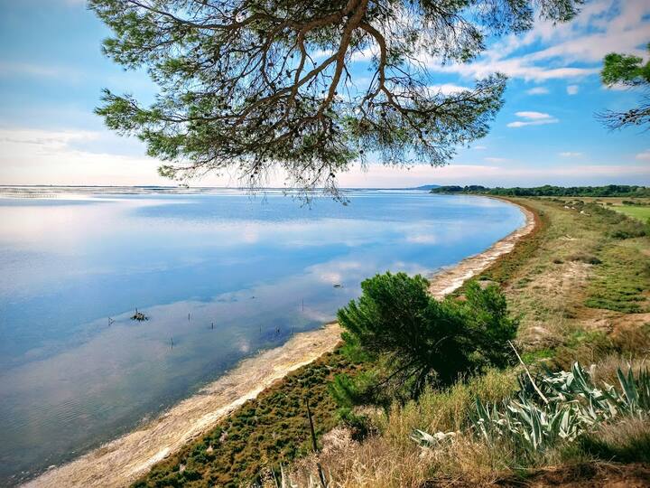 Bel Appartement Avec Grande Terrasse Proche Plage - Marseillan