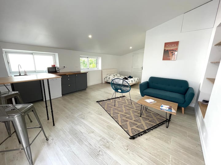 Tours, Hyper Centre, Quartier Théâtre, - Tours