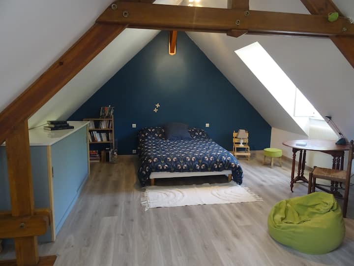 Chambre Privée Et Salon Dans Grande Maison. - Le Mans