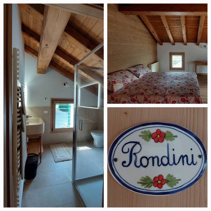 Camera Doppia - Rondini - Montebelluna