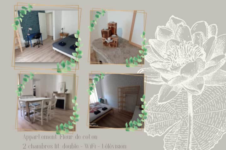 Appartement Familial Fleur De Coton - Centre-ville - Dijon