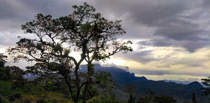 Cabaña Luz De Luna - Miraflores