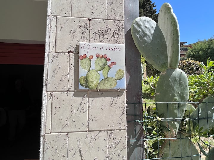 Il Fico D’india - Castiglione della Pescaia