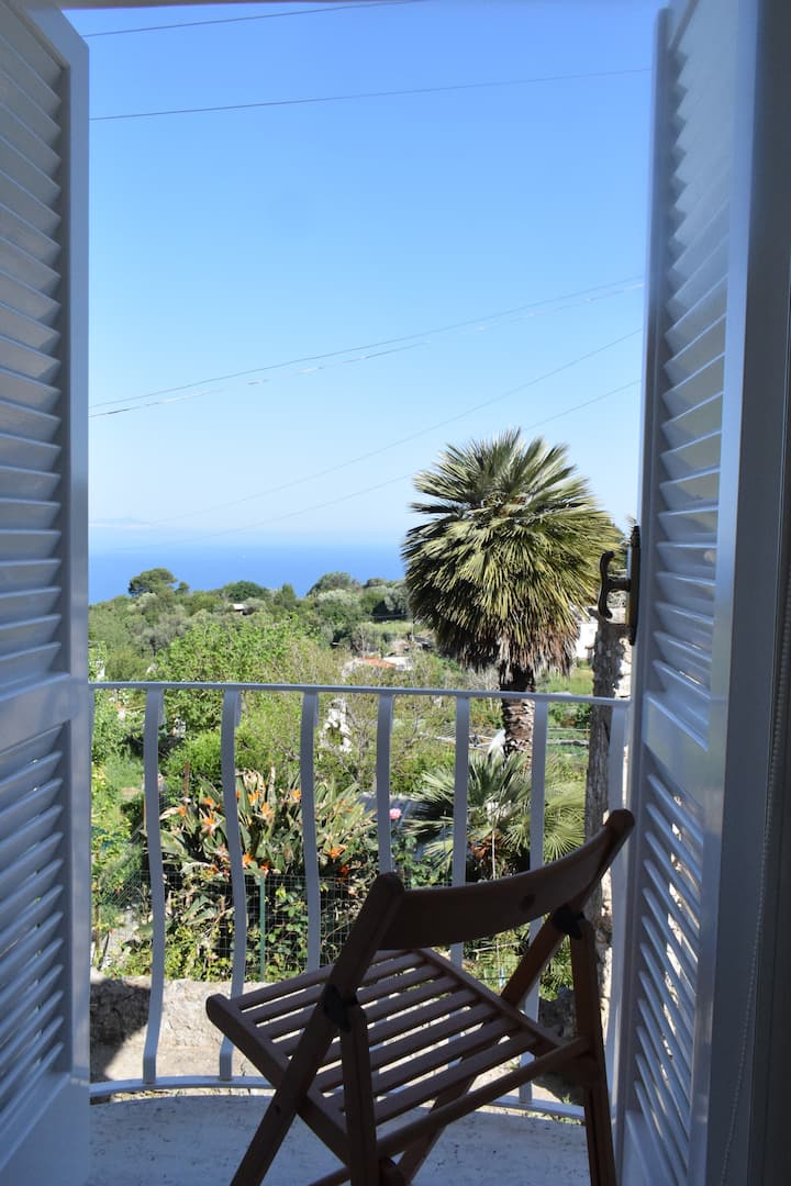Casa Milo - Capri