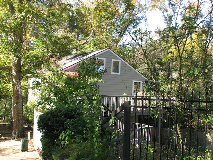 Tree House - Oxford, MS