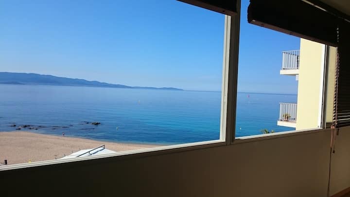 Loue Très Bel Appartement Ajaccio Front De Mer. - Ajaccio