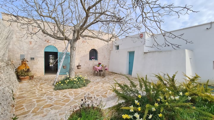 I Trulli Di Mina - Lamia Fresia - Locorotondo