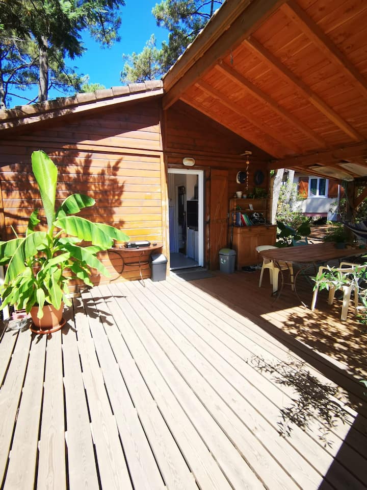 Studio 15*3 A Au Village Naturiste De La Jenny - Plage Le Porge Océan