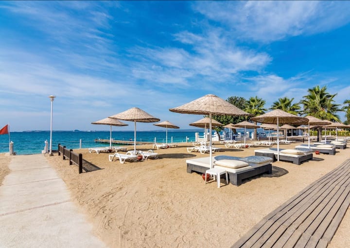 Eros 15, Apollonium - Altınkum