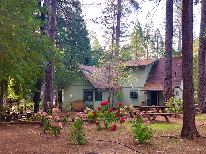 Groovy Cabin In The Woods - Pollock Pines, CA