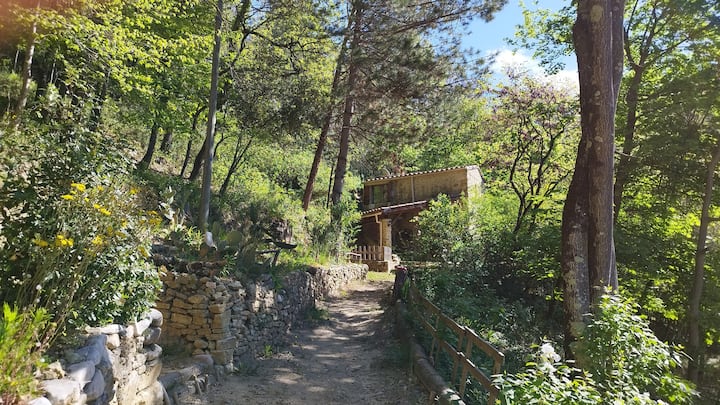 La Safre - Bourdeaux