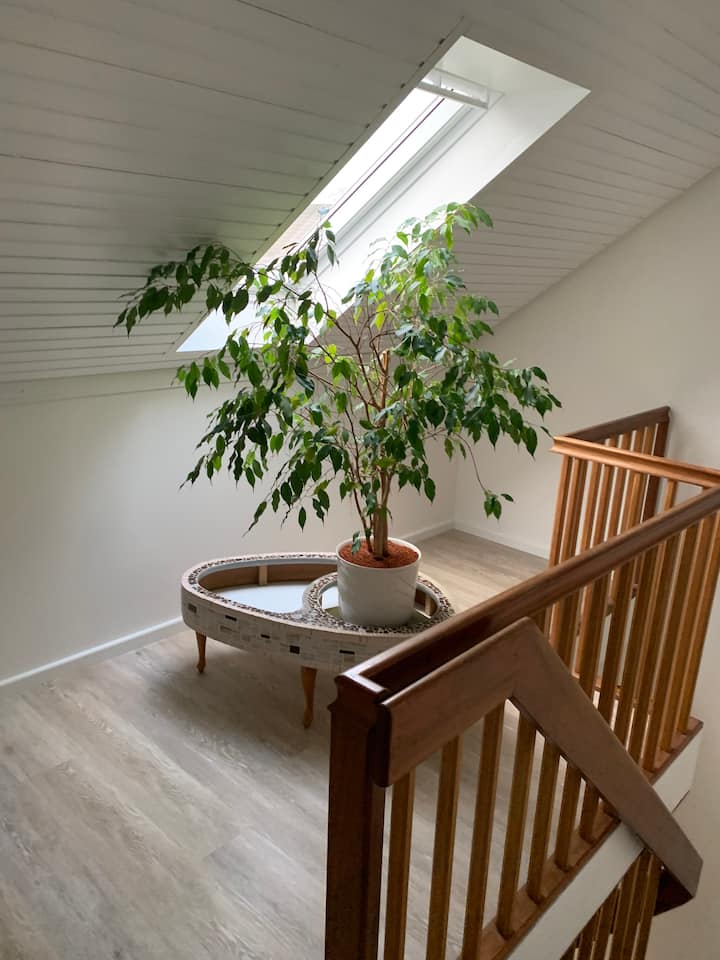 Behagliches Haus Im Aufbau- Ohne Garten- - Sehestedt