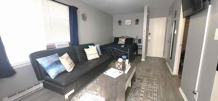 Rustic/sleeps 2/ext Stay Discnt/free Wi-fi&parking - Phillips Park Zoo, Aurora