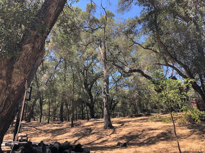 Welcome Inn: Family Friendly Oasis In Wine Country - アタスカデロ, CA