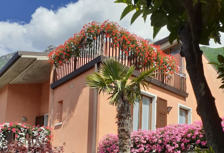 Papinga's Home Attic - Lake Garda