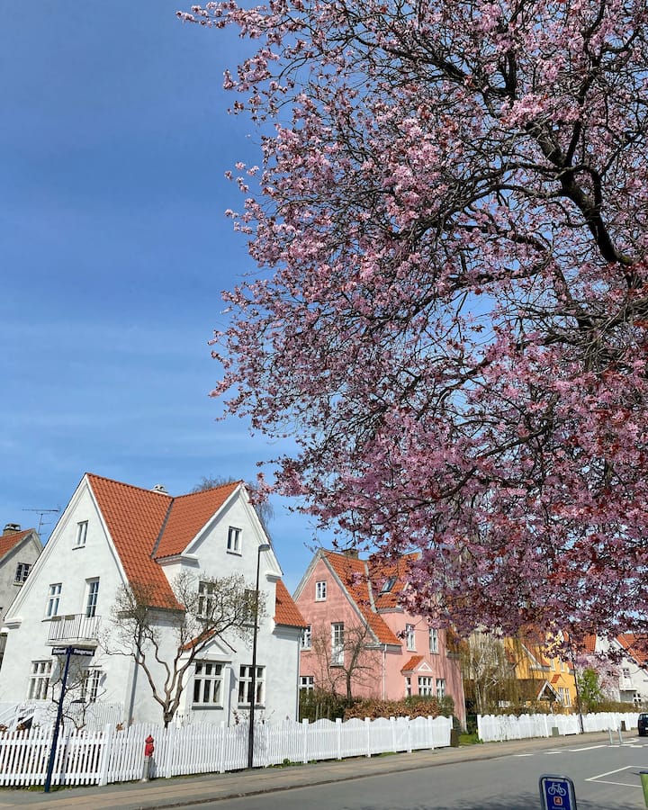 Vidunderlig Villa Få Kilometer Fra Kbh Centrum - Kopenhag