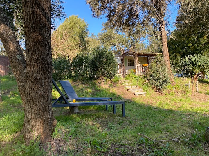 Mobilhome Paisible à La Campagne - Porto-Vecchio