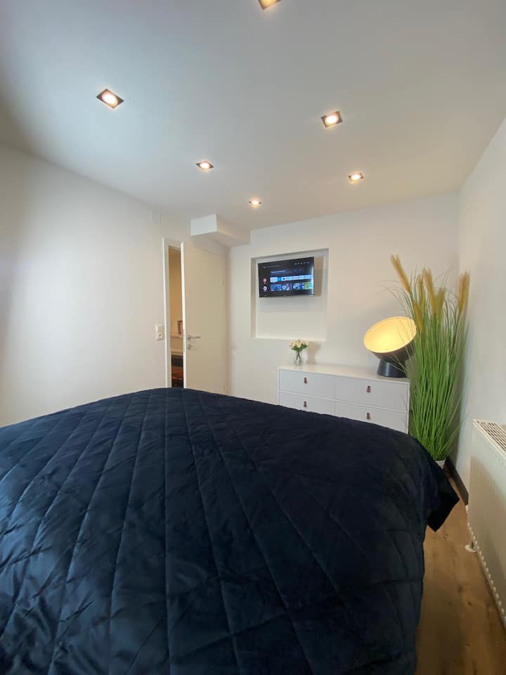 Lowcosthighcomfort_leoben_blue - Leoben