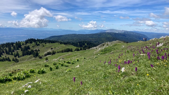 Etape Nature Jura Suisse *2-4 Personnes* - Divonne-les-Bains