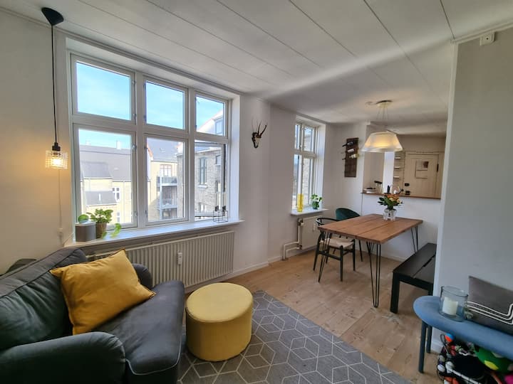 Bright And Lovely Apartment In Central Copenhagen. - Copenhagen