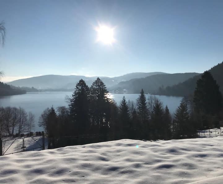 Chalet 7 Pers Vue Exceptionnelle Sur Le Lac - Gérardmer