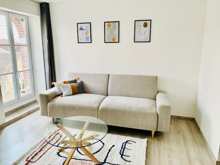 Charmant Appartement En Plein Centre-sortie A6 - Appoigny