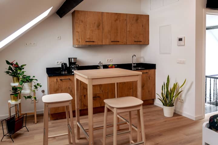 Studio Deluxe 4 Old City Center Antwerpen - 安特衛普