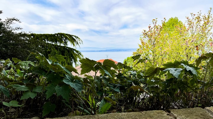 Appartement Calme, Vue Sur Le Léman à Evian - Évian-les-Bains