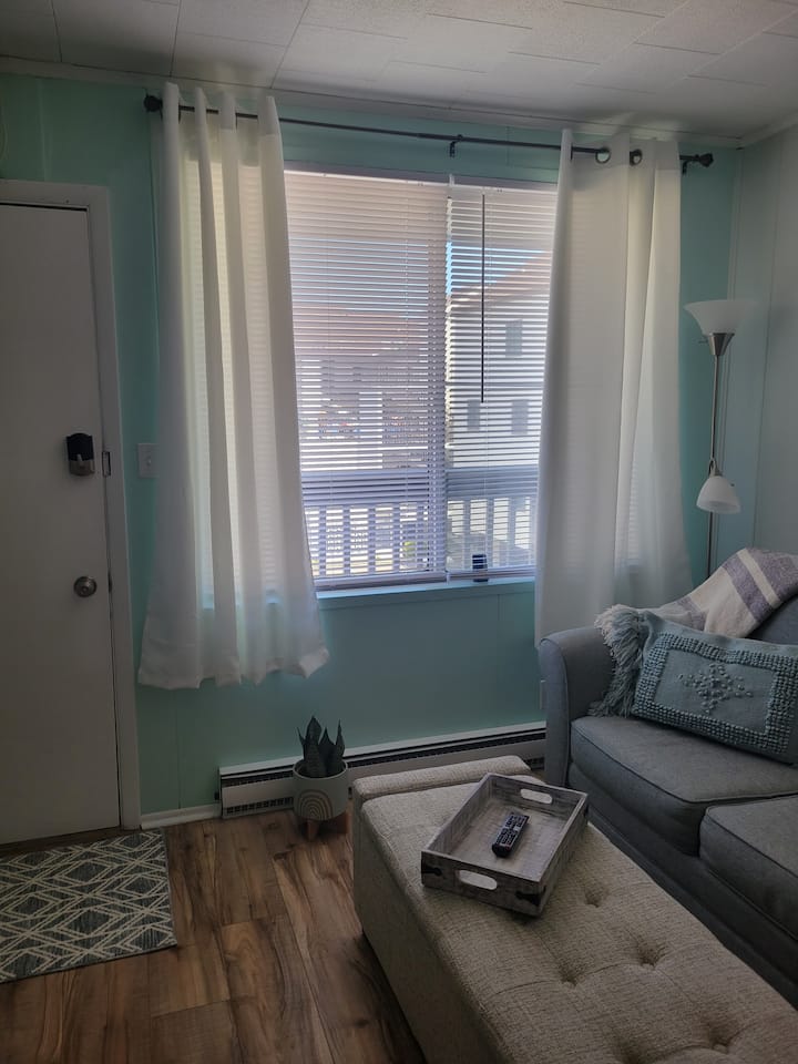 Ocean Block Condo - Fenwick Island, DE