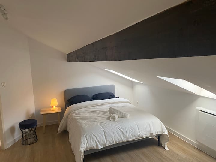 Belle Chambre Double Au Centre De Nancy - Nancy