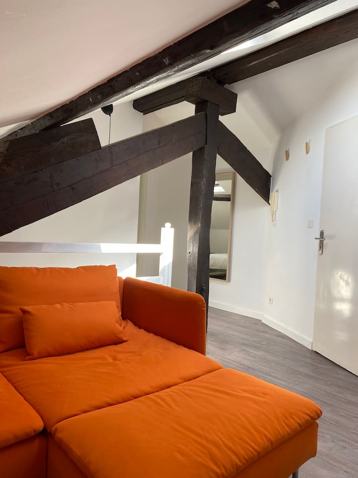 Belle Chambre Double Au Centre De Nancy - Nancy