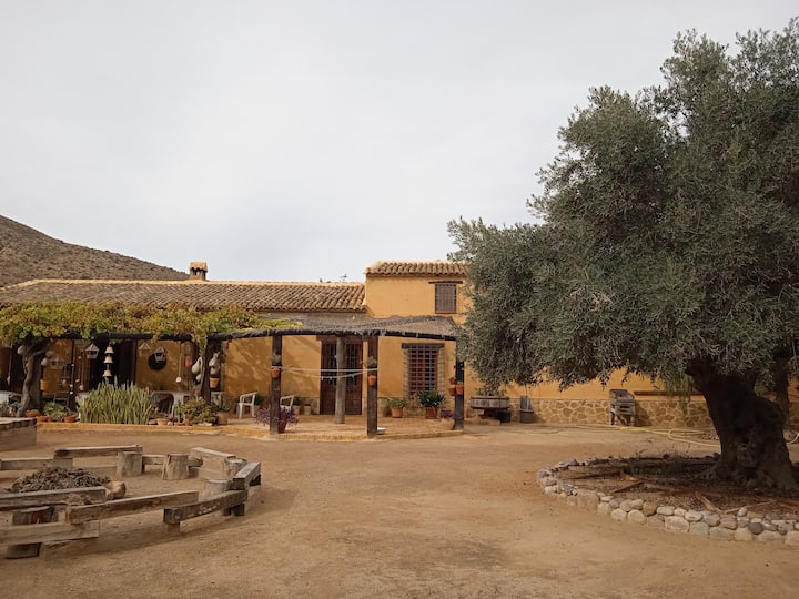 Espacio Cabezo Gordo - San Pedro del Pinatar