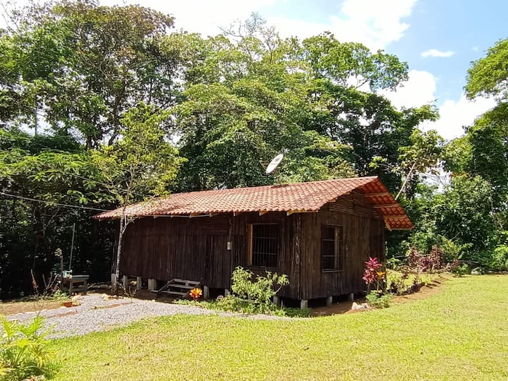Cabaña Encantadora, Con Un Bosque De Jardín - Aguas Zarcas