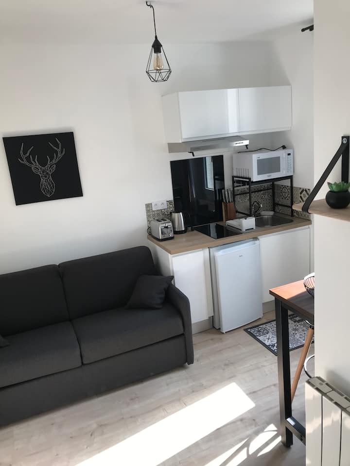 Joli Petit Studio à 150m De La Plage - Trégastel