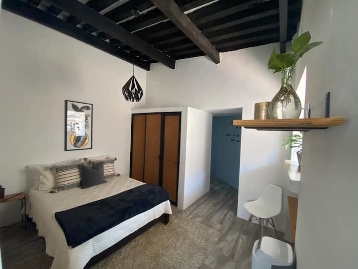 Encantador Departamento En Centro Histórico - 케레타로 주