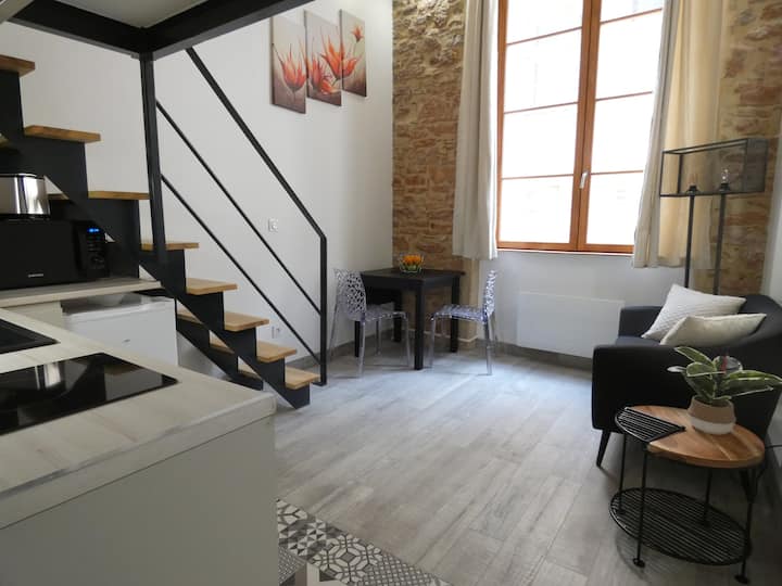 Studio Dans Immeuble De Canuts 26m2 - ibis Styles Lyon Centre Confluence