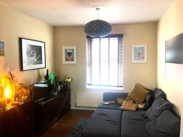 1 Bedroom Terraced House Near Centre - Cardiff