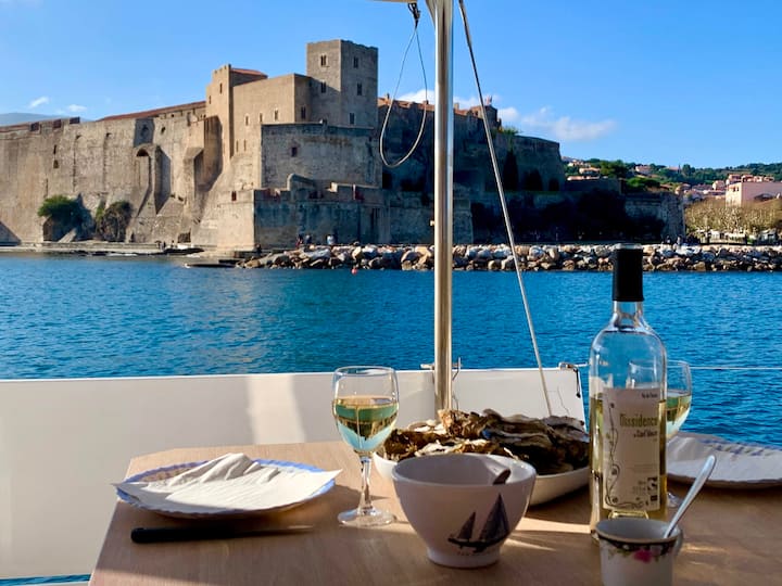 Superbe Catamaran à Quai Ou En Baie De Collioure - Banyuls-sur-Mer
