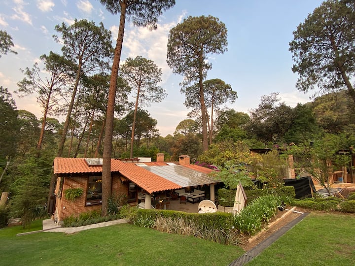 Cabaña Encantadora Y Acogedora En El Bosque - Valle de Bravo