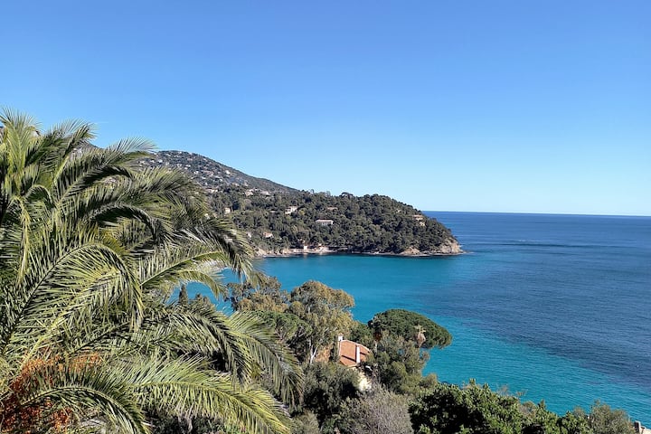 Confortable Appartement Avec Piscine, Plage à Pied - Rayol-Canadel-sur-Mer