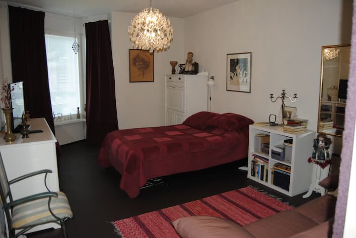 Viihtyisä Kaksio Tampereen Ydinkeskustassa - Tampere